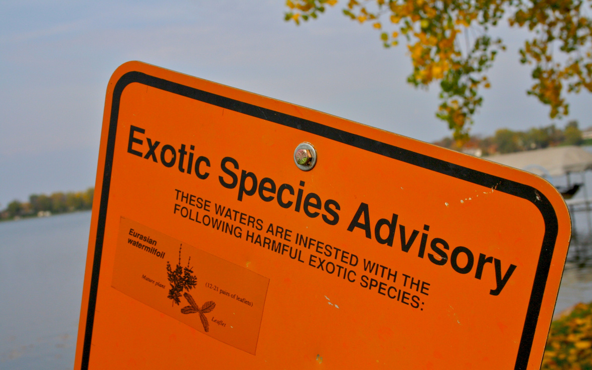 Invasive Arten - NEXUS Citizen Science Luxemburg